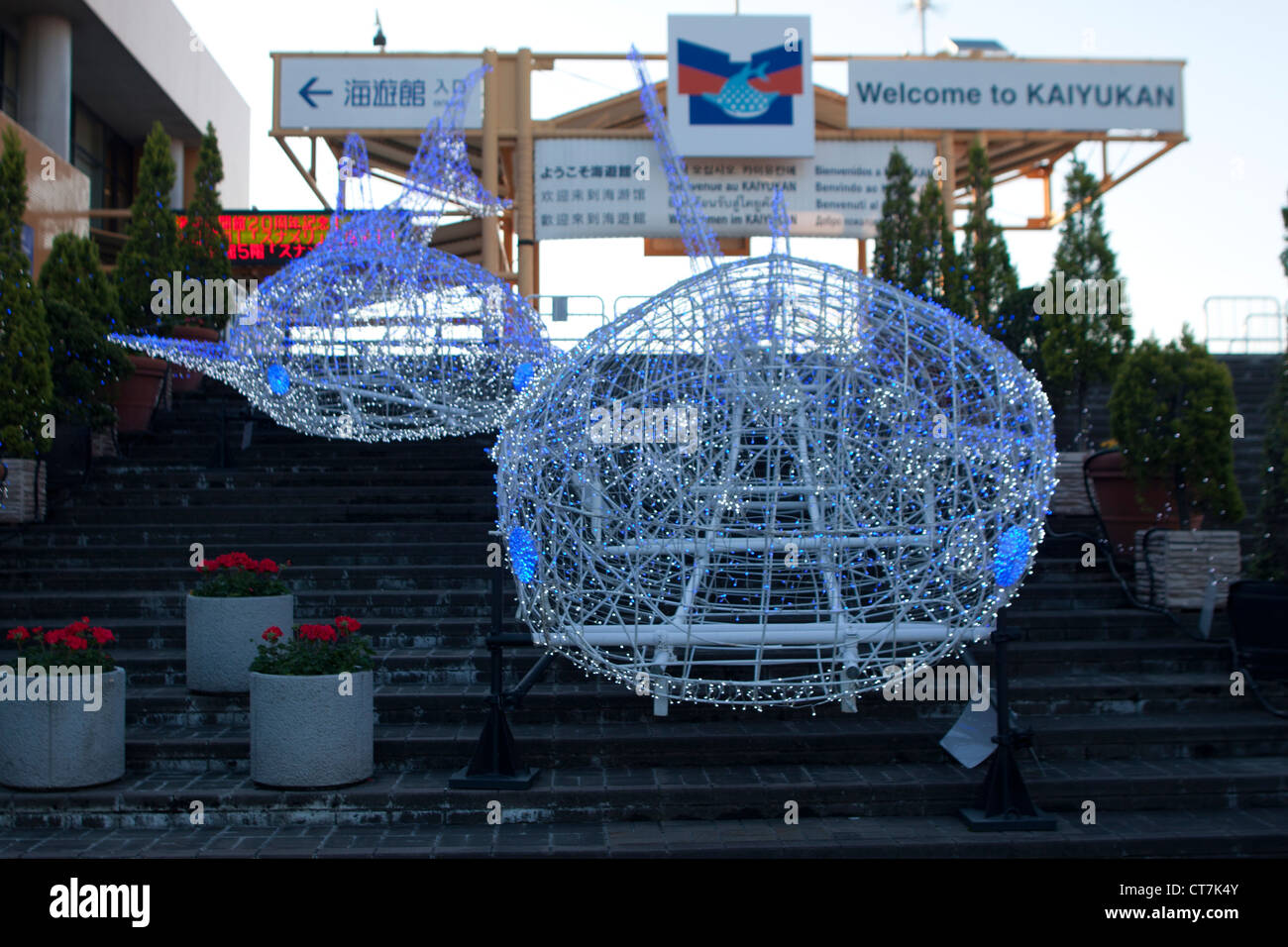 Aquarium de requin baleine osaka Banque de photographies et d’images à ...