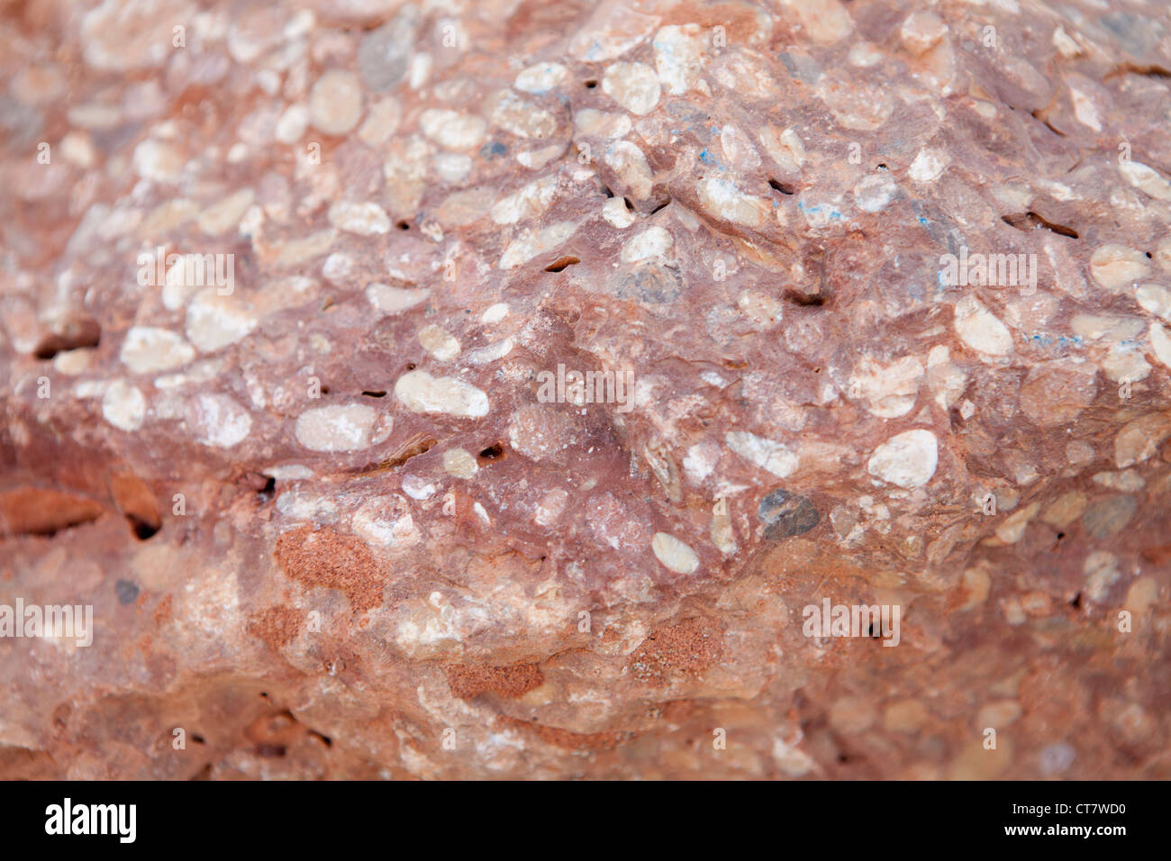 Conglomerate rock Banque de photographies et d’images à haute ...