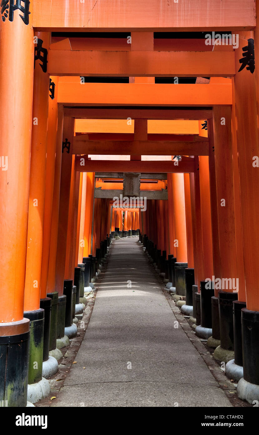 Portes rouges de torii Banque de photographies et d’images à haute ...