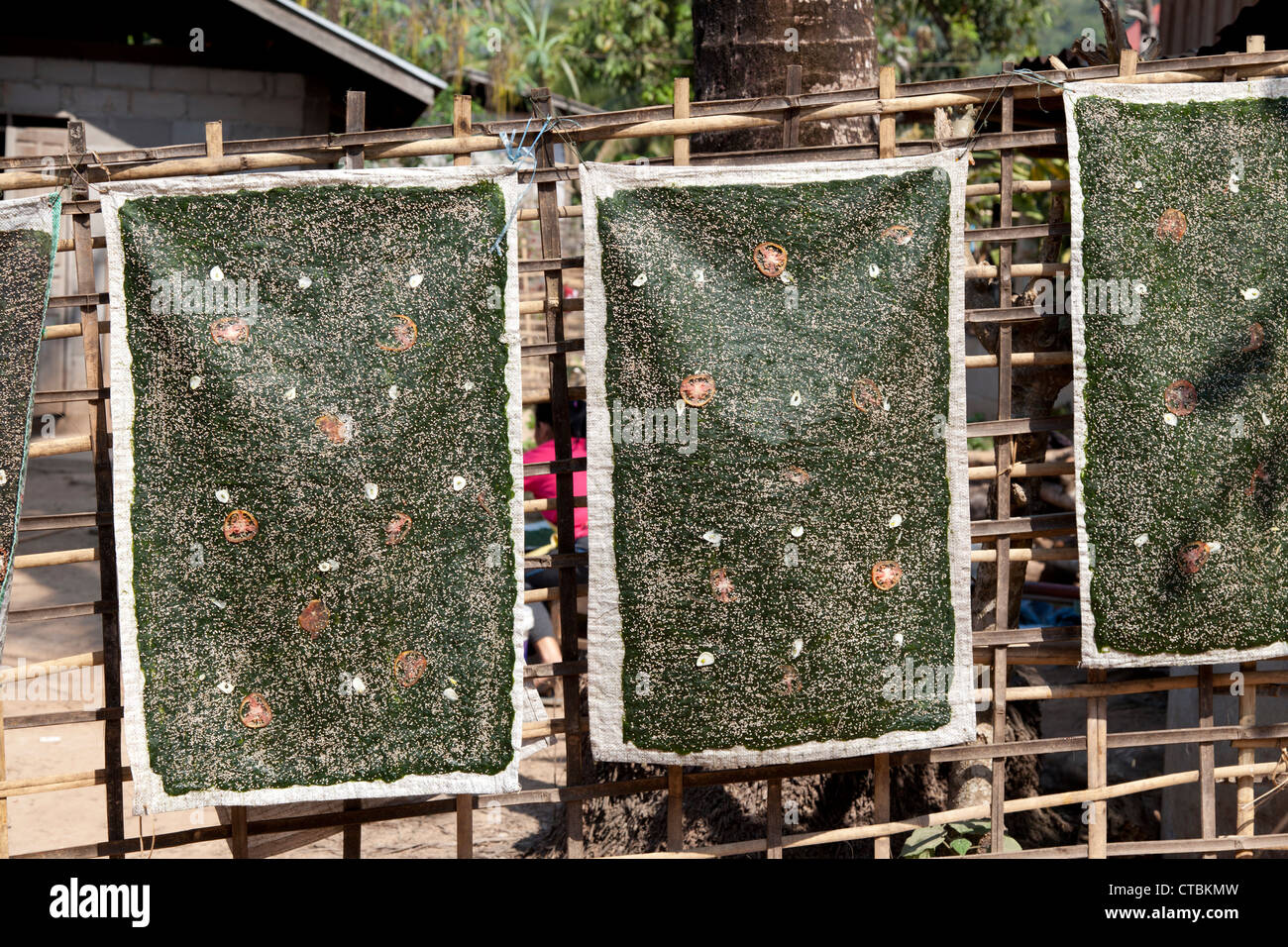 Kai paen Banque de photographies et d’images à haute résolution - Alamy