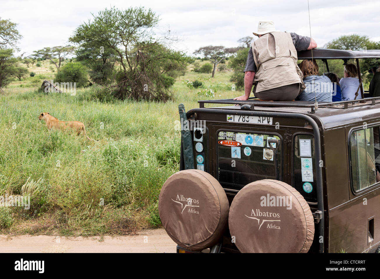 Lionne chasse Banque de photographies et d’images à haute résolution - Alamy