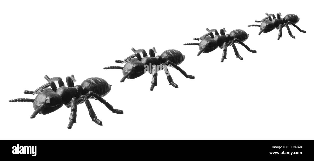 Suivre la ligne Banque de photographies et d’images à haute résolution ...