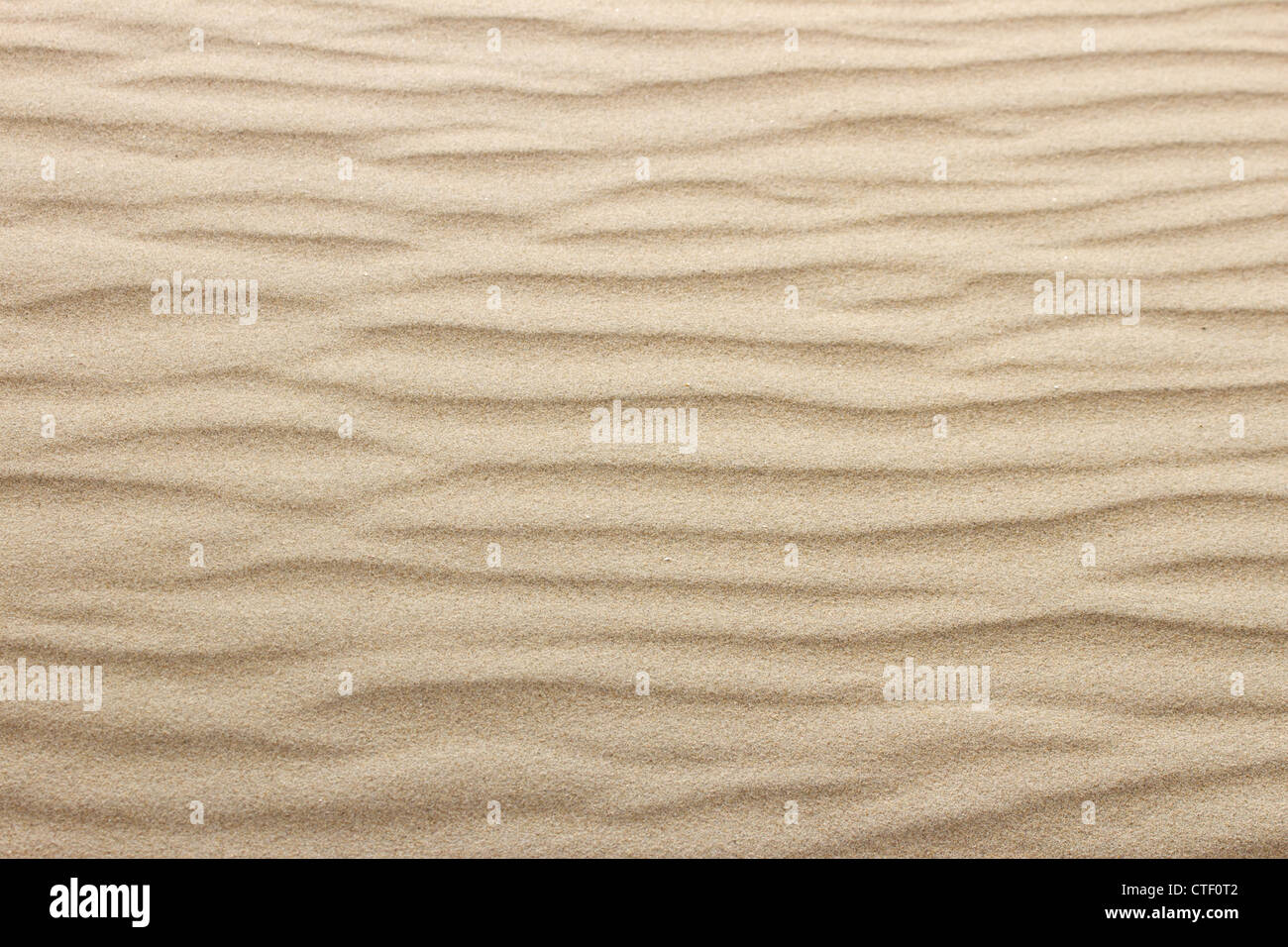 Sable de la plage Banque de photographies et d’images à haute ...