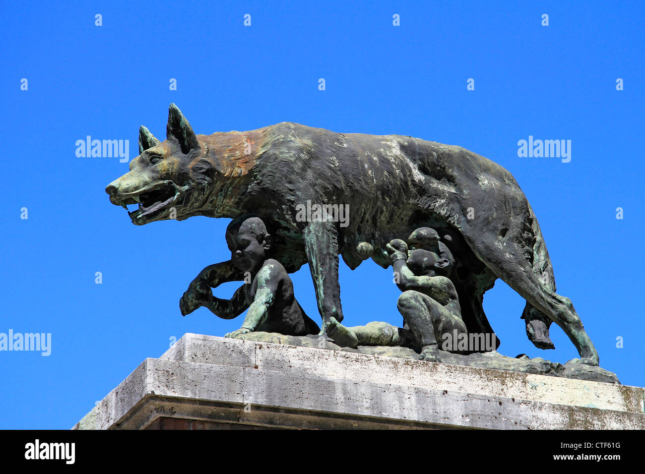 She wolf romulus icon Banque de photographies et d’images à haute ...