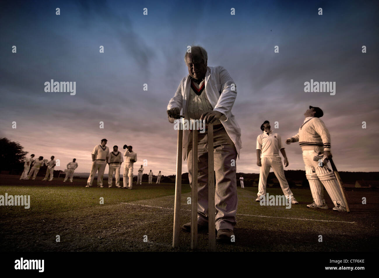 Cricket de nuit Banque de photographies et d’images à haute résolution ...