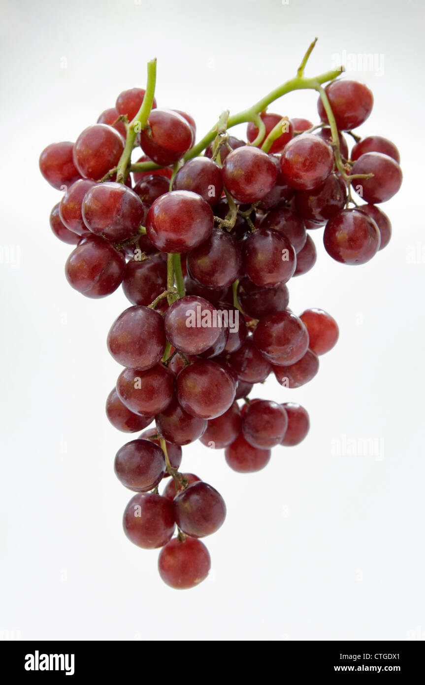 Raisins rouges Banque de photographies et d’images à haute résolution ...