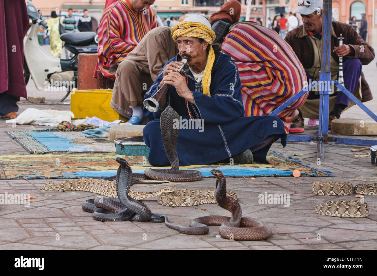 Snake charmer cobra marrakech morocco Banque de photographies et d ...