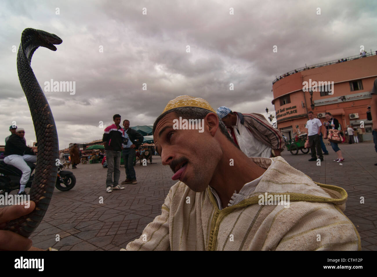 Serpent de marrakech Banque d'image et photos - Alamy