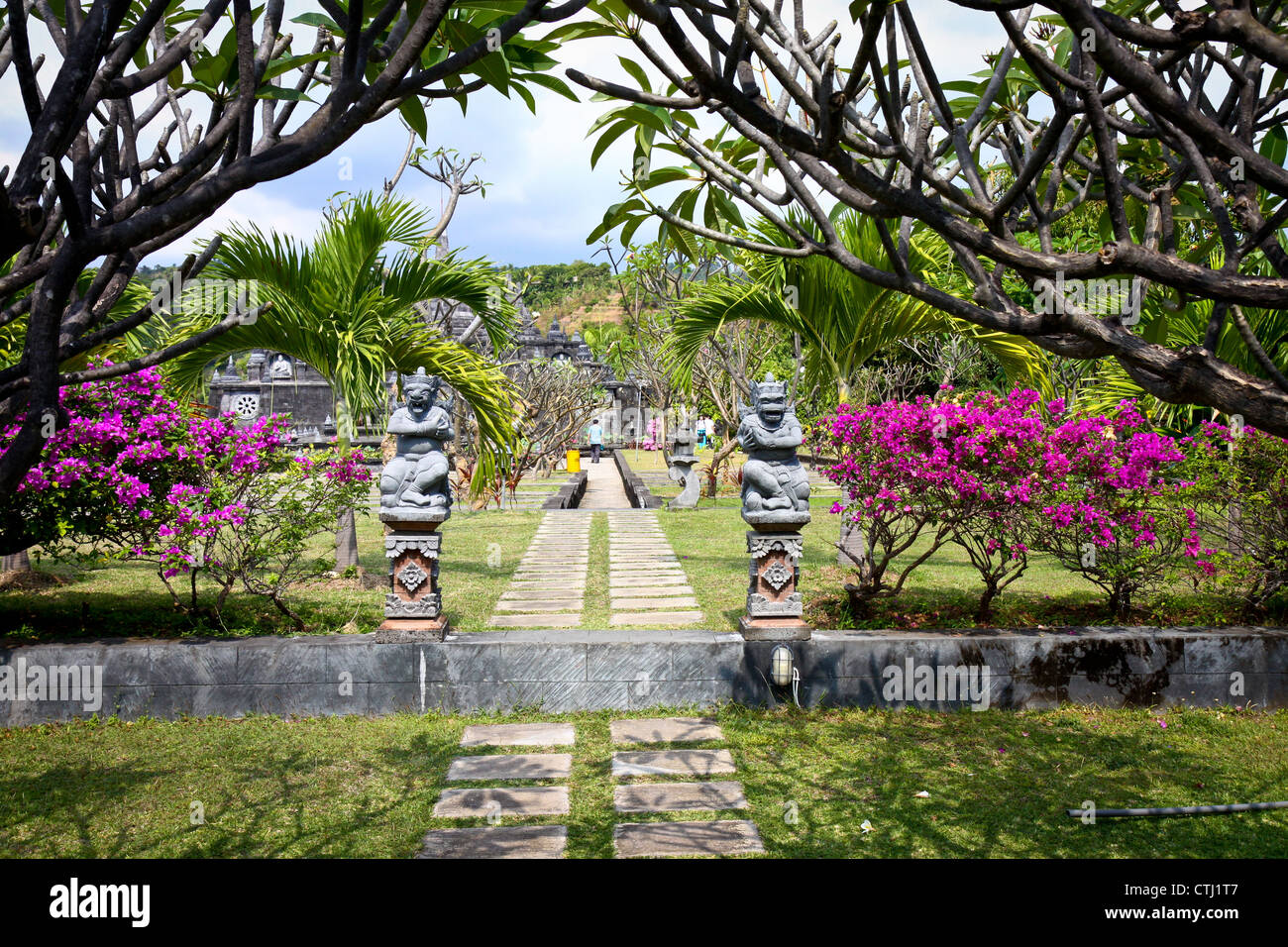 Fleurs de bali Banque de photographies et d’images à haute résolution ...