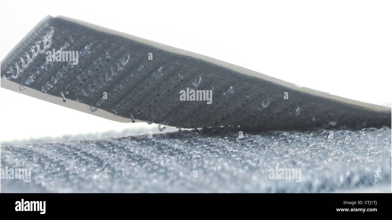 Velcro fastening Banque de photographies et d’images à haute résolution ...