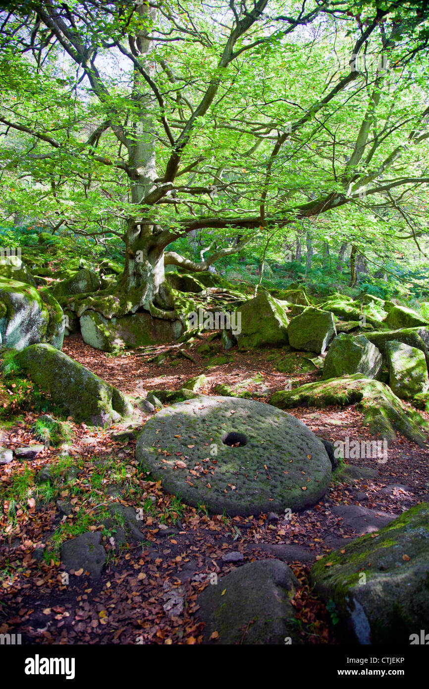 Une meule abandonnée sous les forêts mixtes dans Padley Gorge située ...