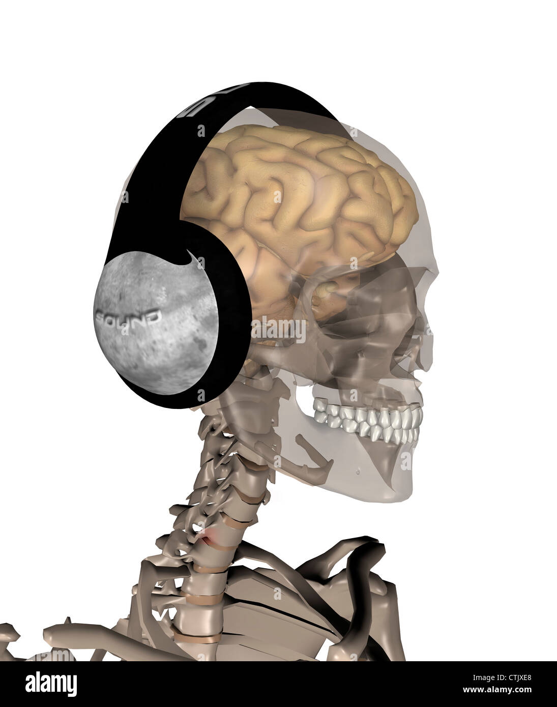 Skeleton headphones Banque de photographies et d’images à haute ...