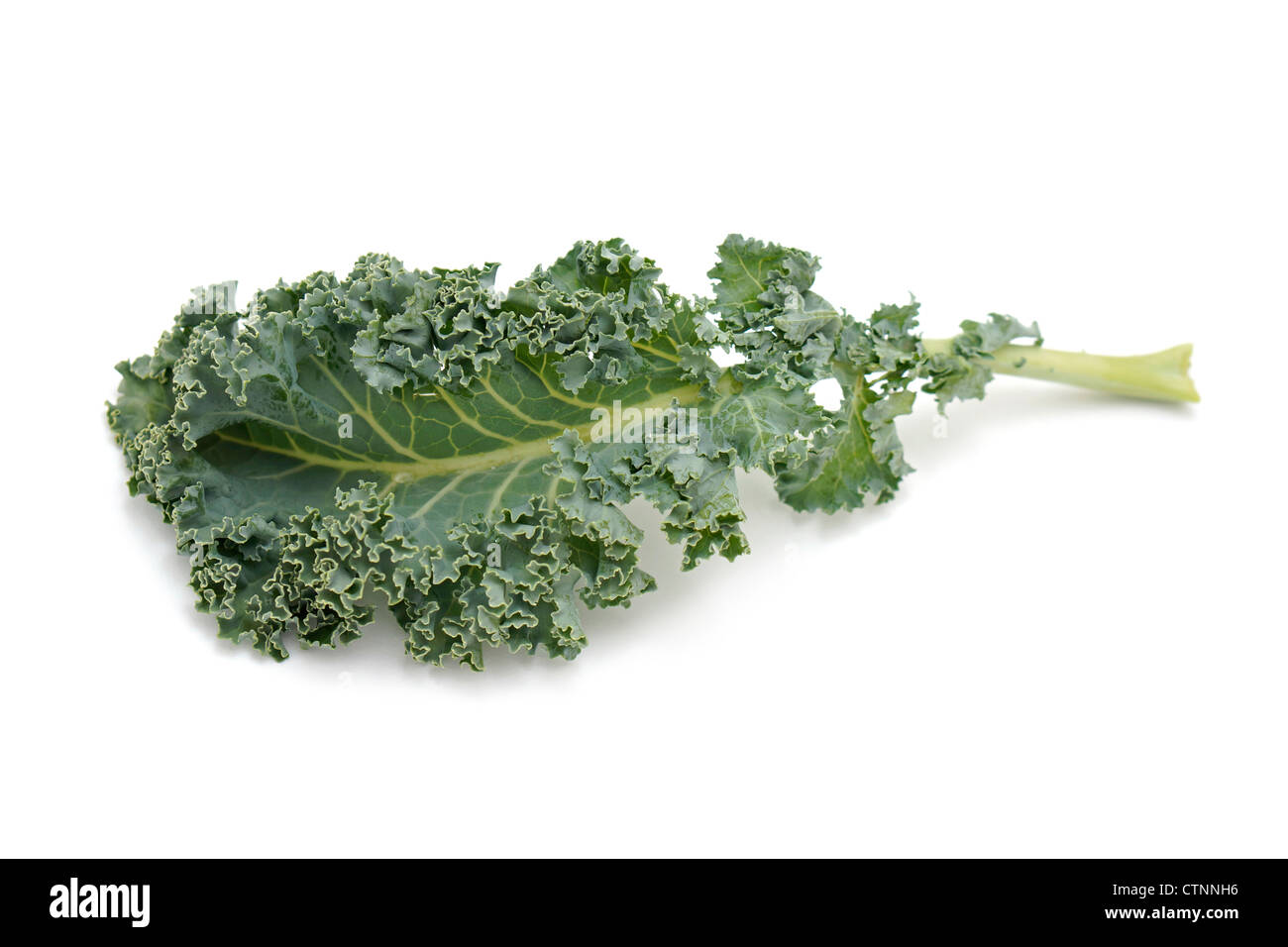 Feuille de chou frisé Banque d'images détourées - Alamy