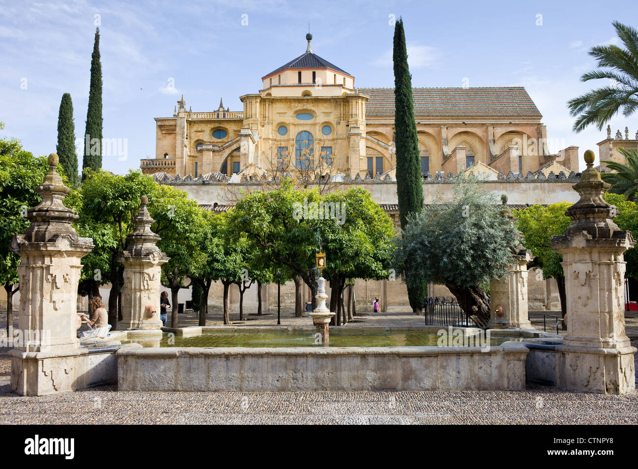 Orange Trees Mezquita Cordoba Banque De Photographies Et D images 