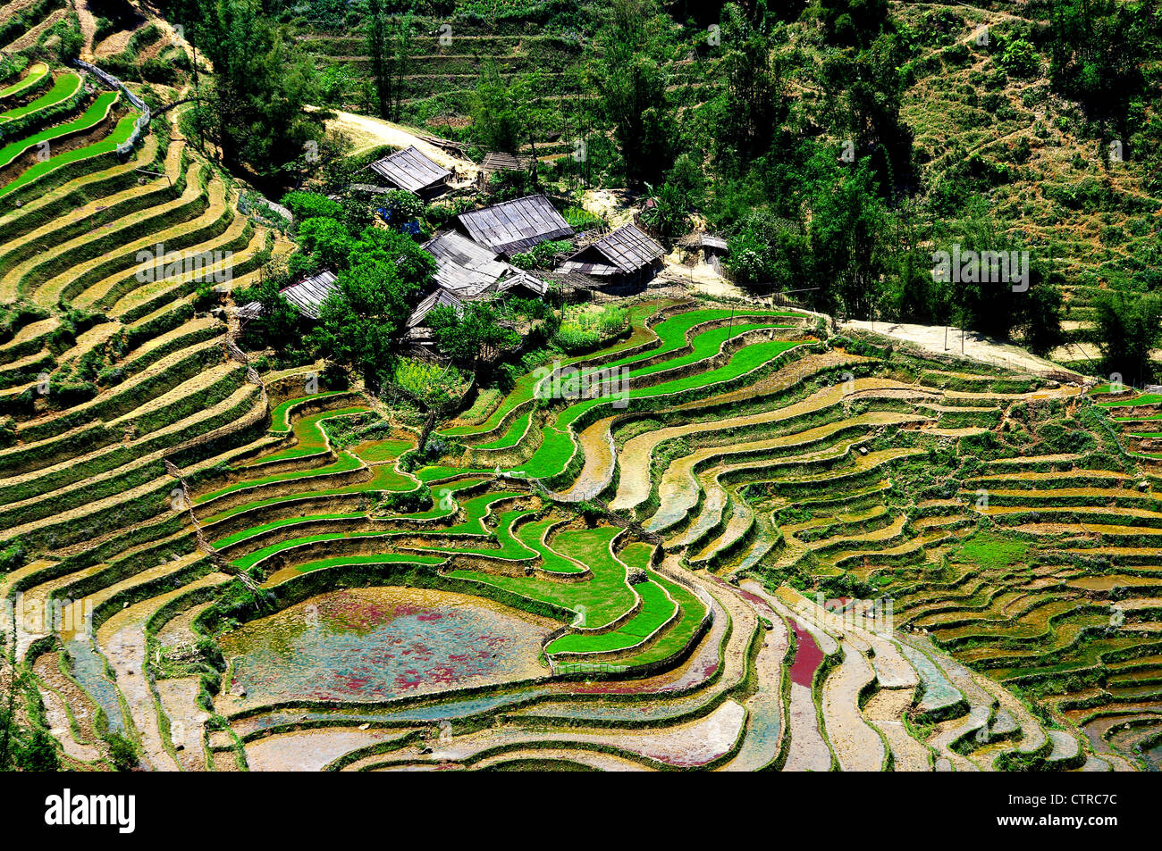 Vietnam irrigation Banque de photographies et d’images à haute ...