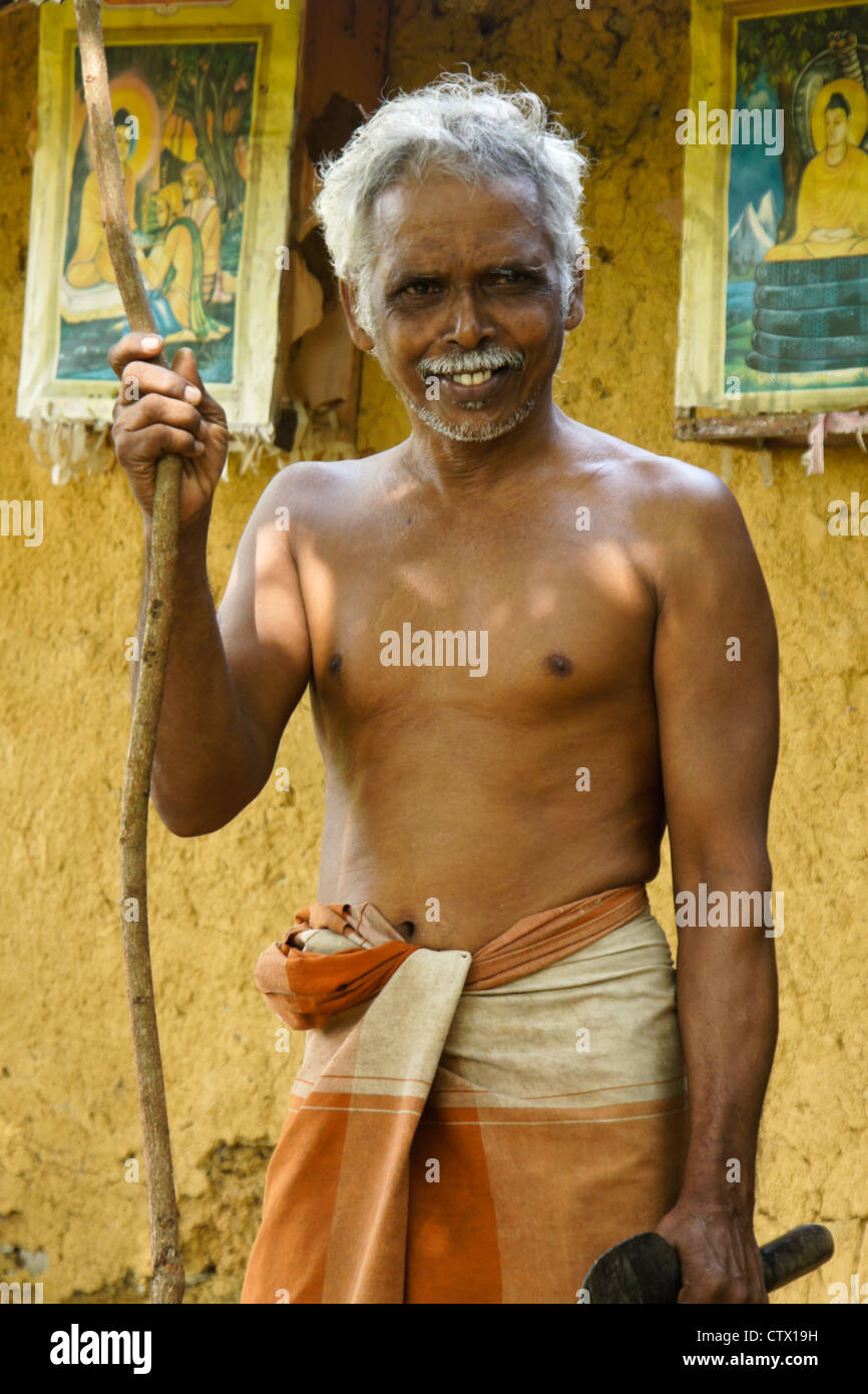 Cannellier arbre Banque de photographies et d’images à haute résolution ...