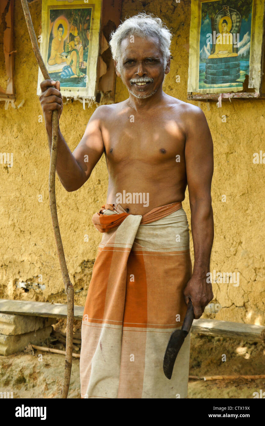 Cannellier arbre Banque de photographies et d’images à haute résolution ...