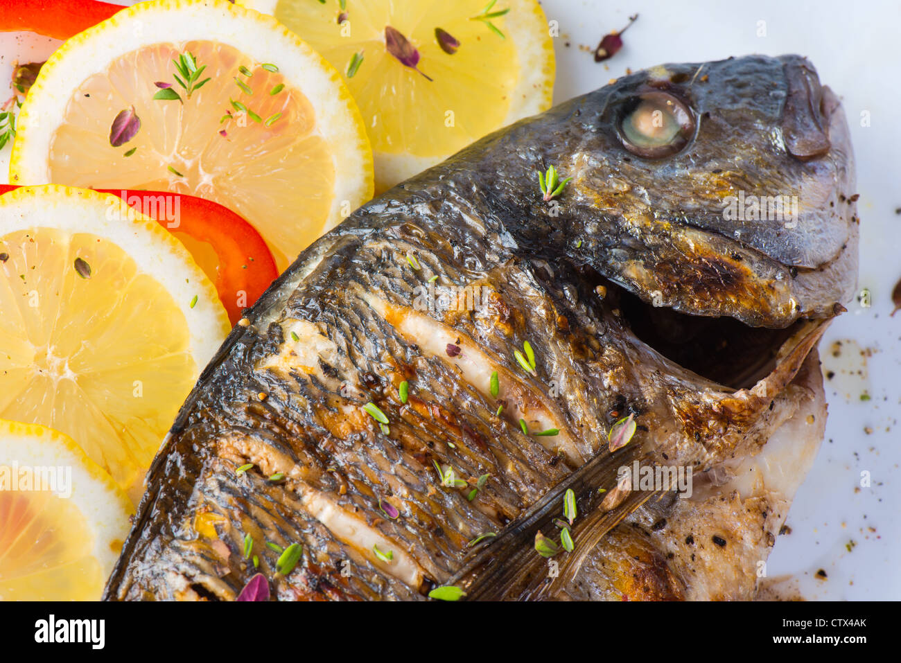 Poisson manger Banque de photographies et d’images à haute résolution ...