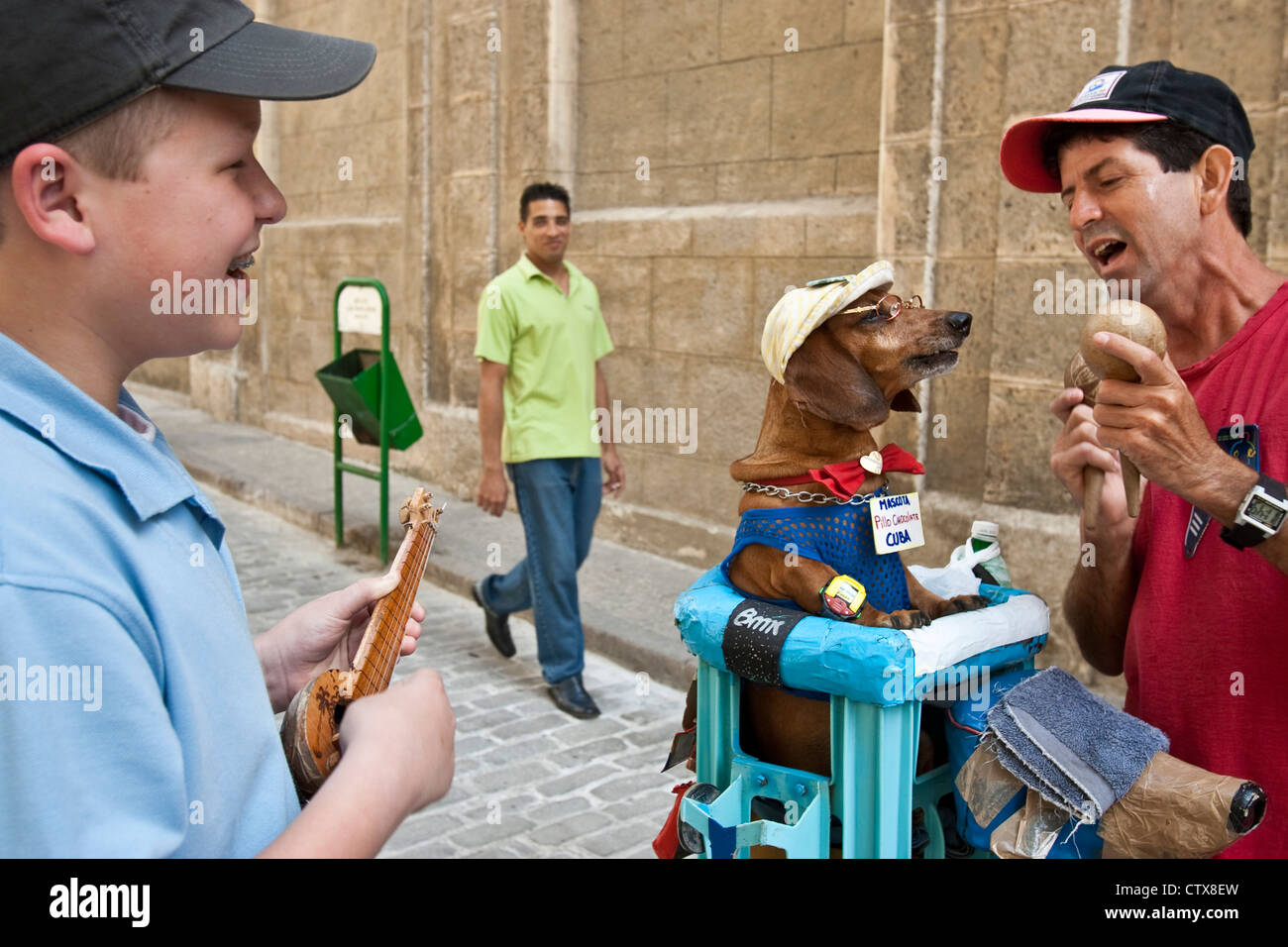 Chiens qui chantent Banque de photographies et d’images à haute ...