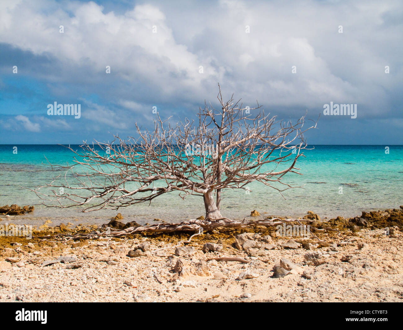 Tuamotus makemo Banque de photographies et d’images à haute résolution ...