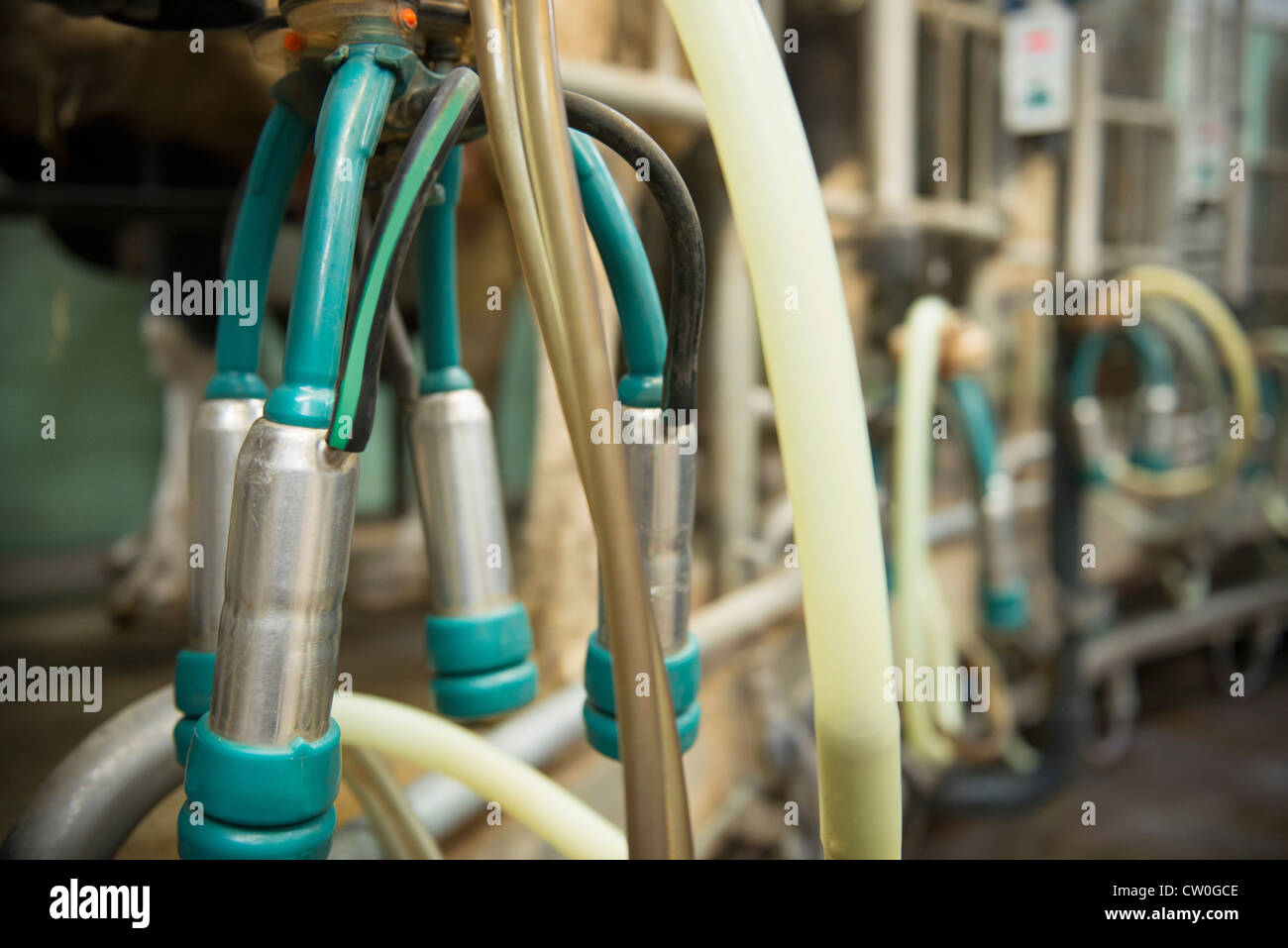 Gros Plan De Lait Banque d'image et photos - Alamy