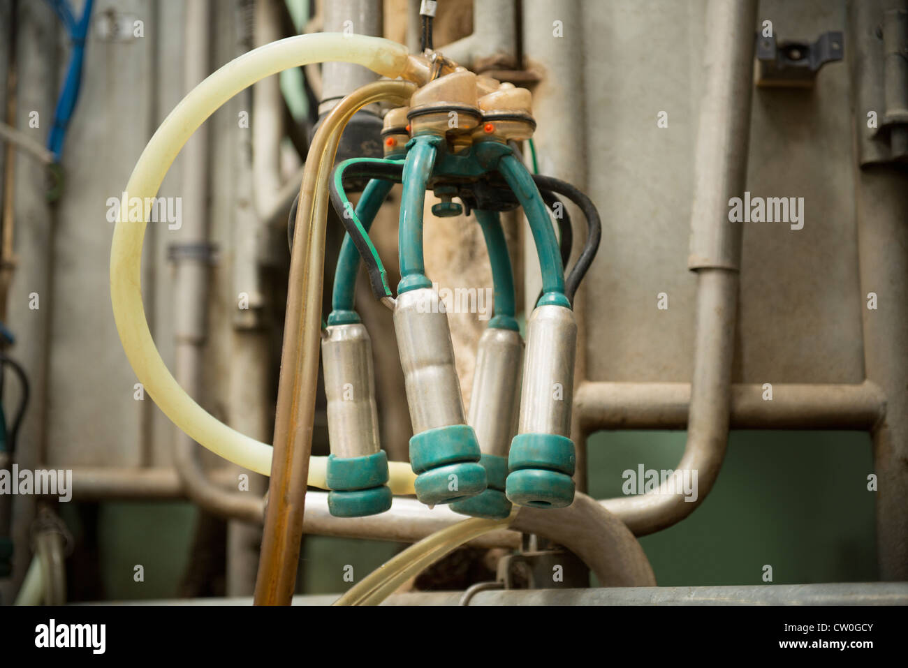 Gros Plan De Lait Banque d'image et photos - Alamy