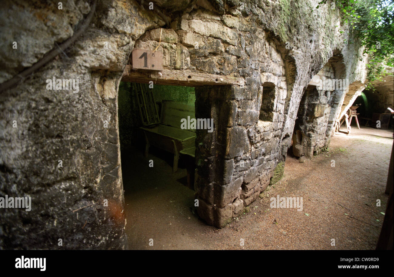 Saumur troglodyte caves Banque de photographies et d’images à haute ...