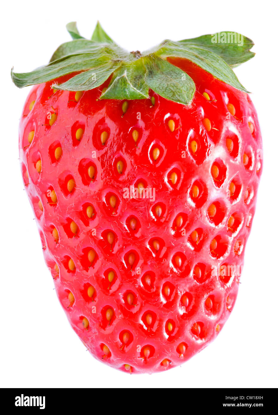 Fraise fond blanc Banque de photographies et d’images à haute ...