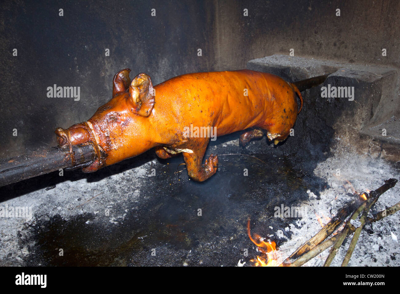 Suckling pig bali Banque de photographies et d’images à haute ...