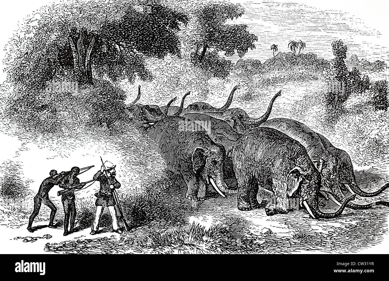 Elephant hunt Banque de photographies et d’images à haute résolution ...