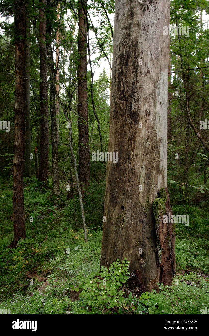 Territoire sauvage Banque de photographies et d’images à haute ...