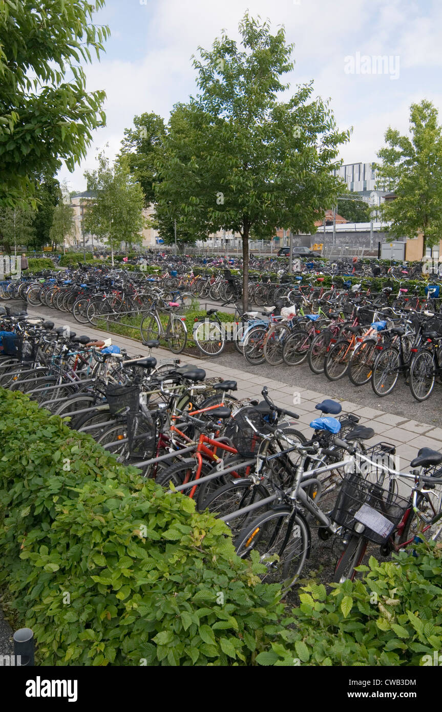 La station de vélos garés à uppsalla Sweden Swedish cycles vélos vélo ...