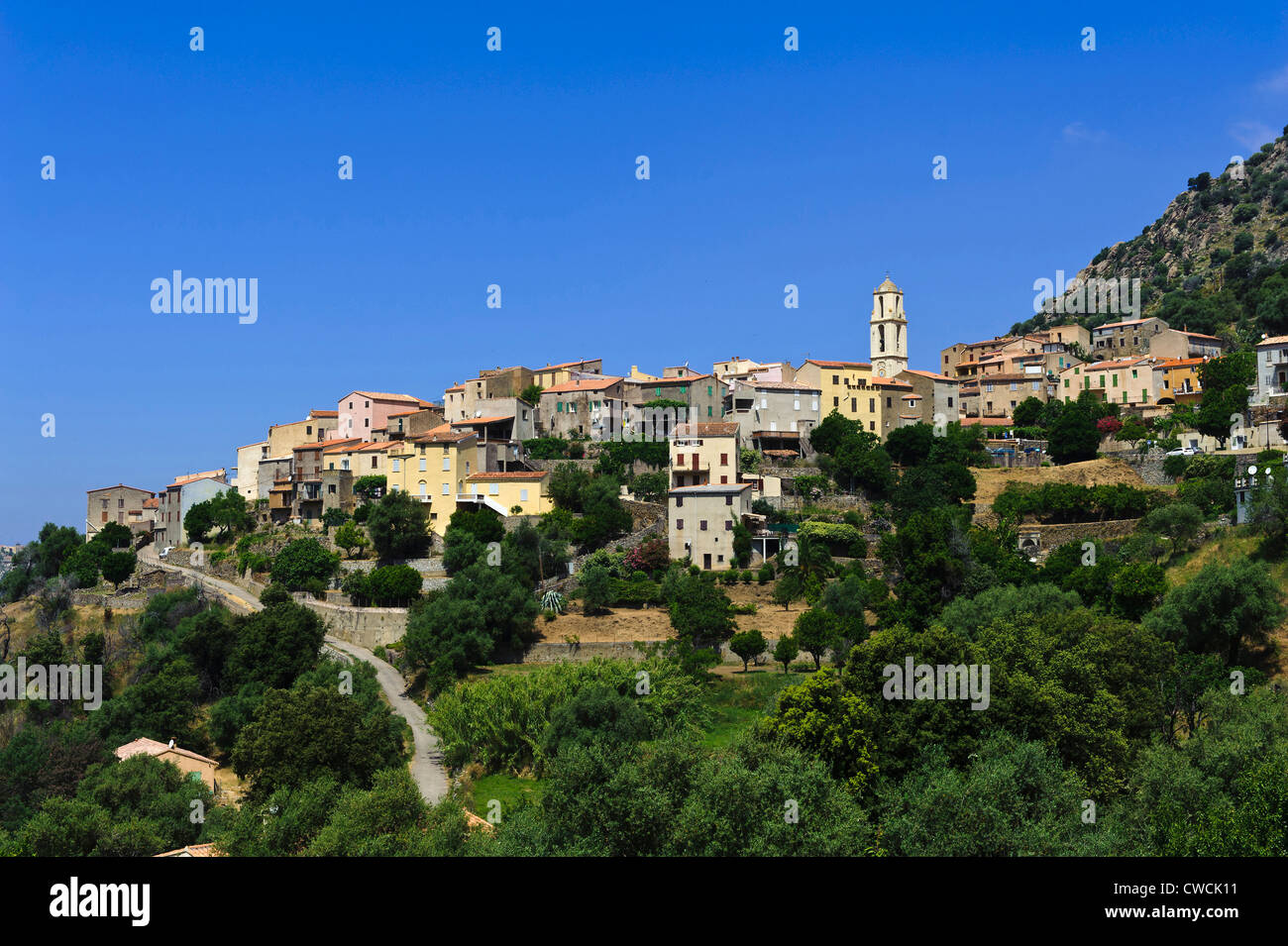 Zilia corse Banque de photographies et d’images à haute résolution - Alamy