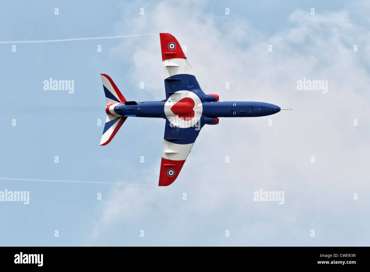 Faucon ti Banque de photographies et d’images à haute résolution - Alamy