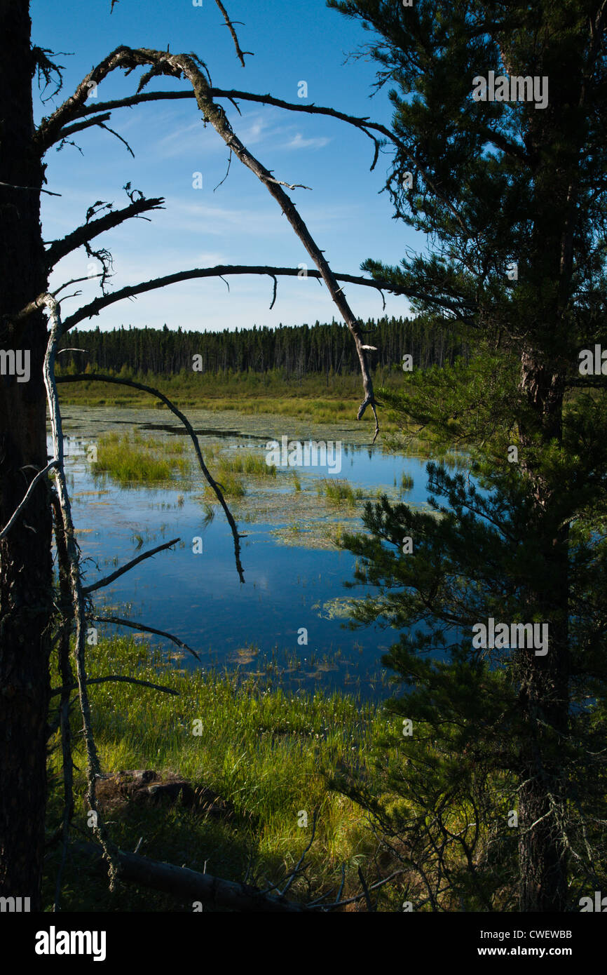 Whiteshell provincial park Banque de photographies et d’images à haute ...