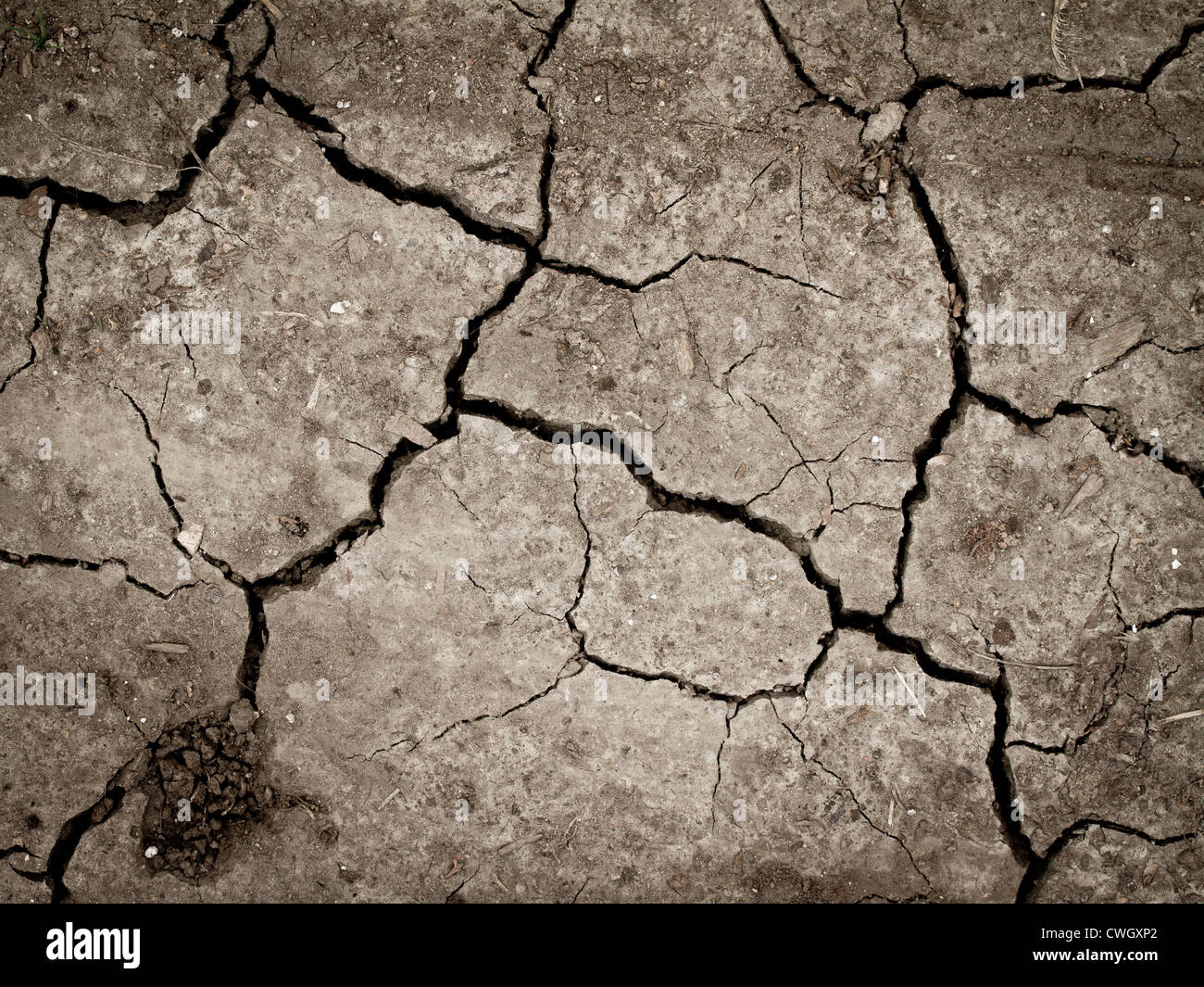 Texture de terre Banque de photographies et d’images à haute résolution ...