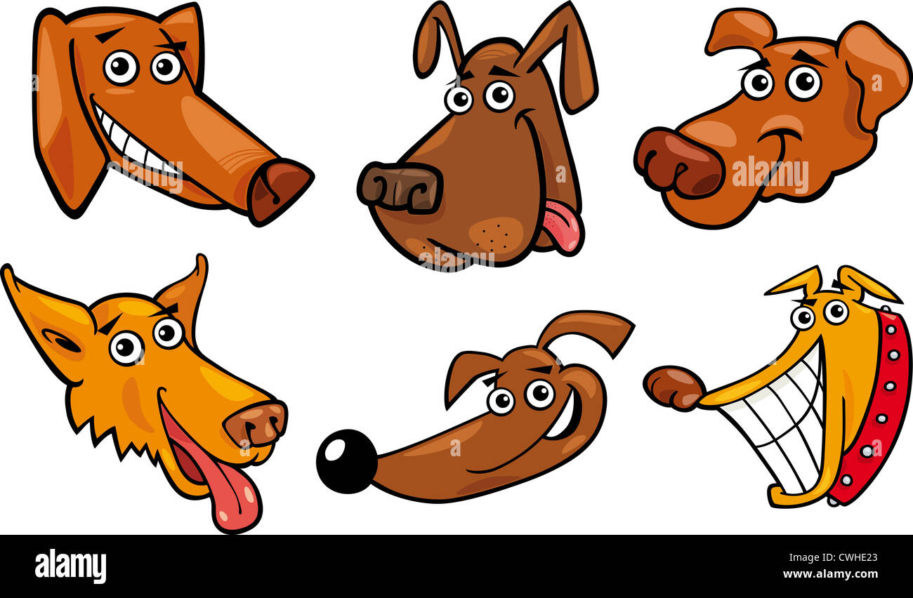 Cartoon Illustration des différents types de Têtes de Chiens drôles Set ...