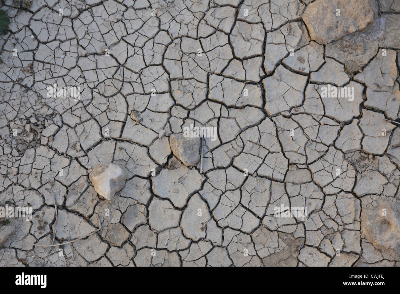 Terrain fissuré Banque de photographies et d’images à haute résolution ...