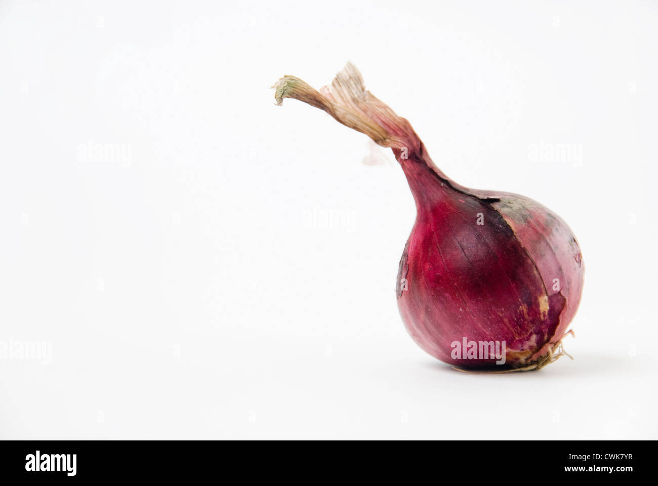 Oignons rouges sur fond blanc Banque de photographies et d’images à ...