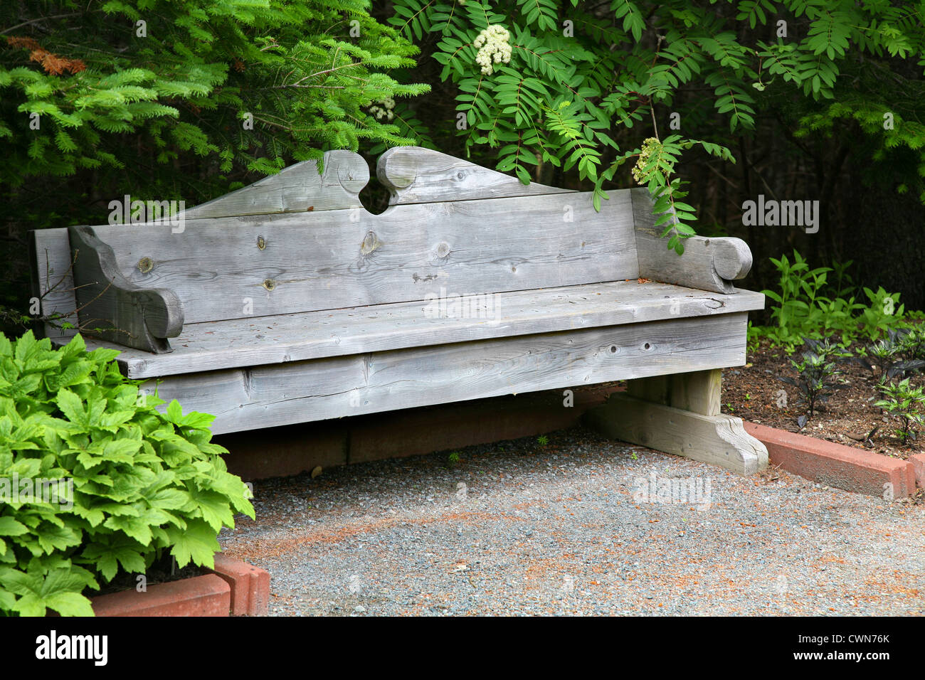 Arbuste de jardin classique Banque de photographies et d’images à haute ...