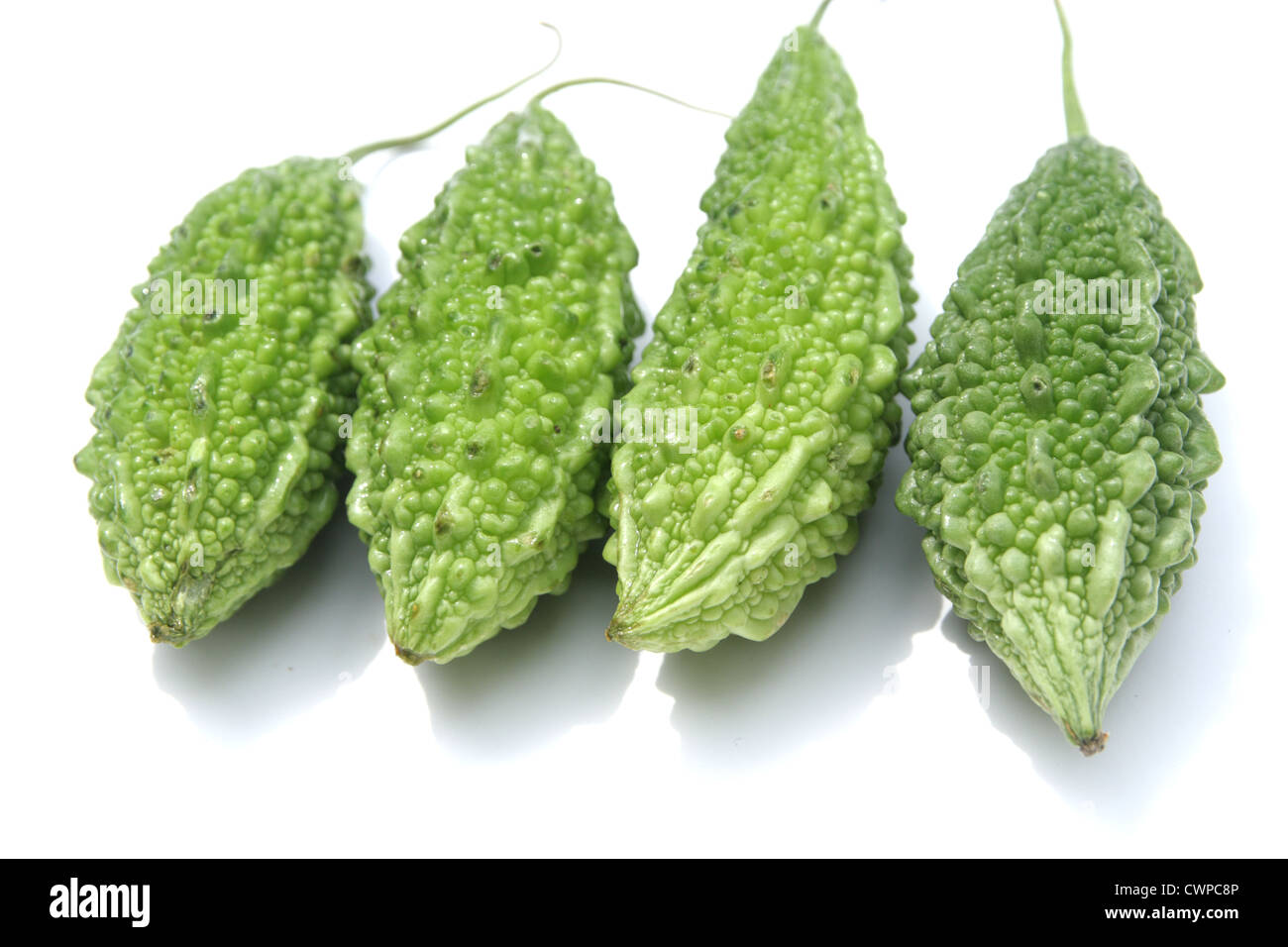 Melons amers Banque de photographies et d’images à haute résolution - Alamy