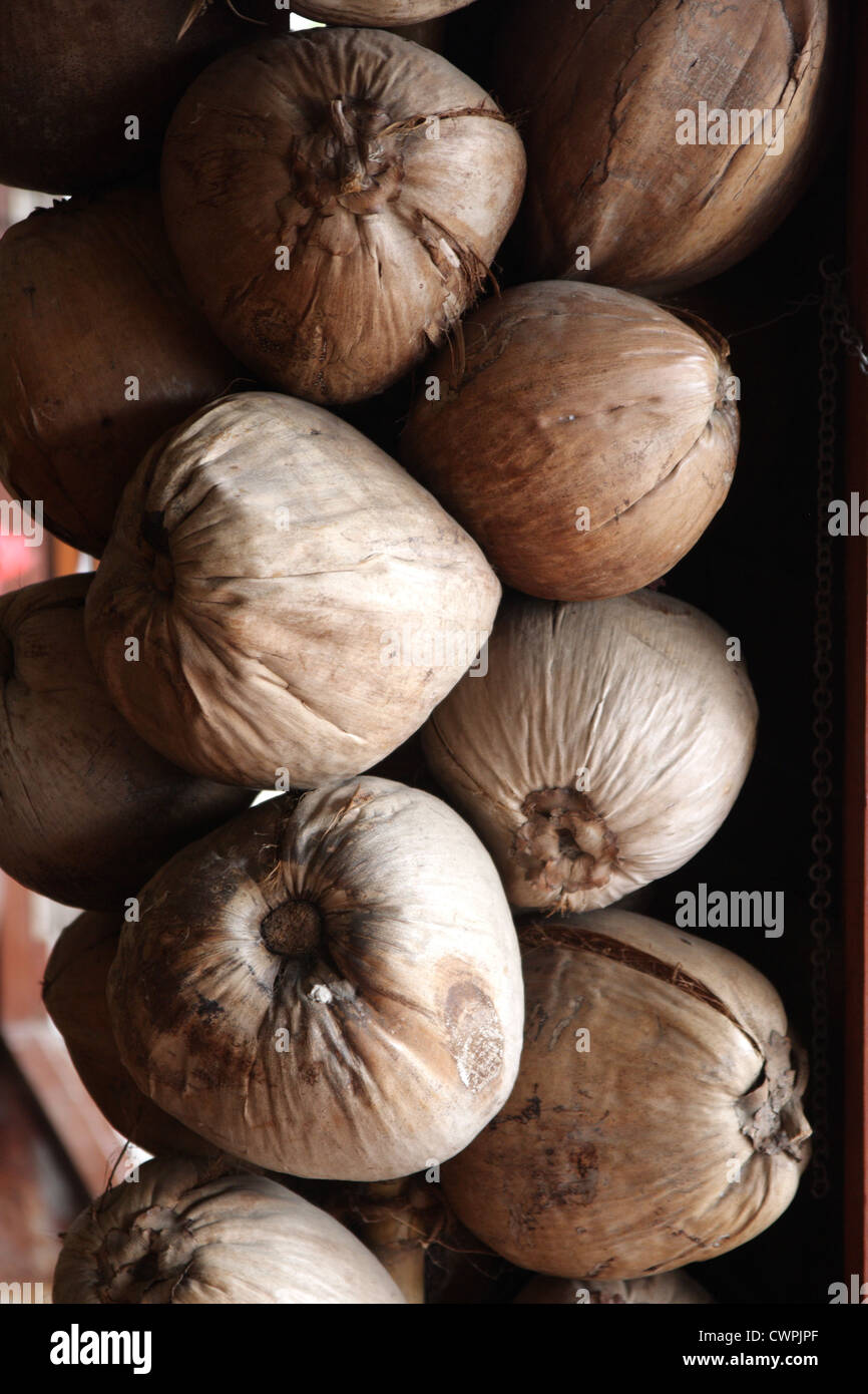 Noix de coco sèches Banque de photographies et d’images à haute ...