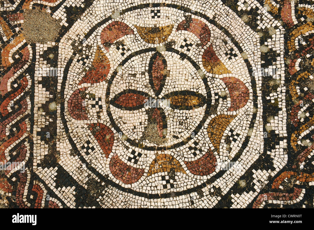 L'art romain au Portugal. Villa romaine de Pisoes. 1er au 4ème siècle ...