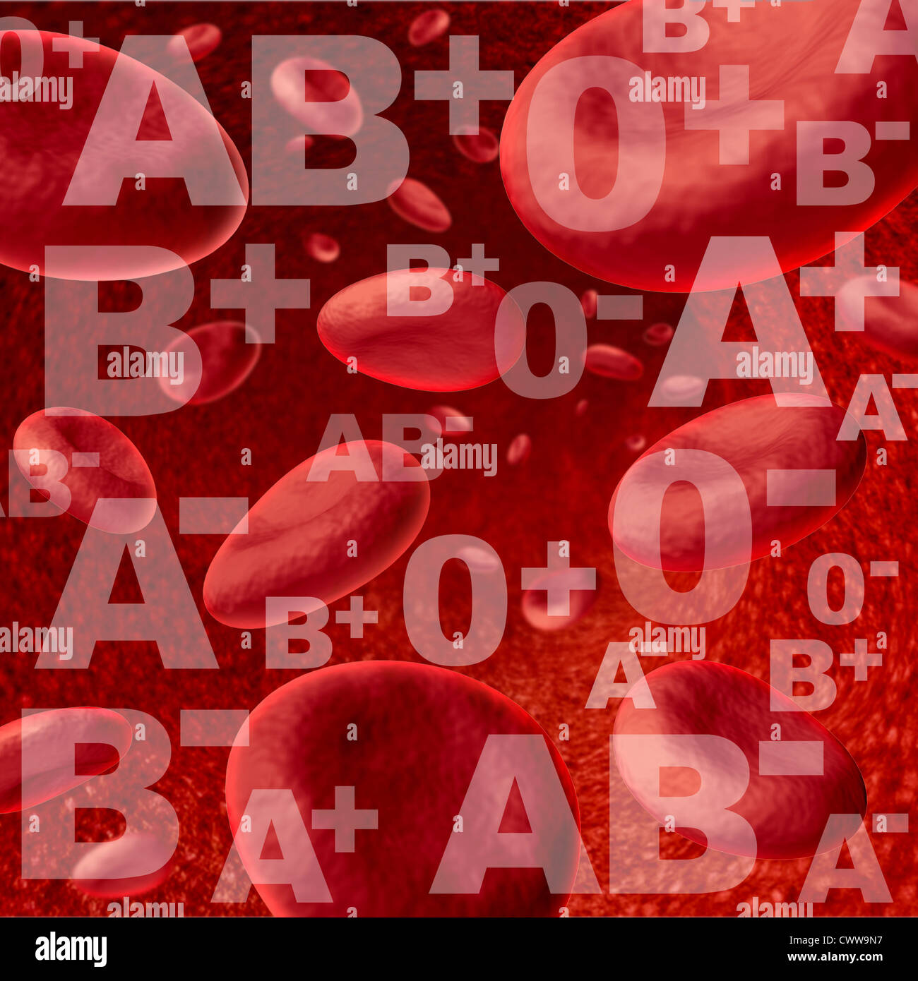 Groupe sanguin et différents types de globules rouges du sang qui coule ...