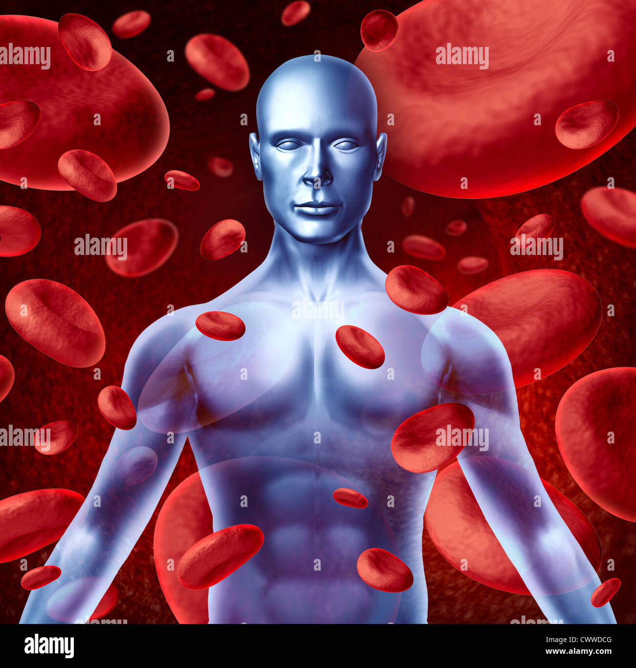 Les droits de circulation de sang symbol des globules rouges du sang ...