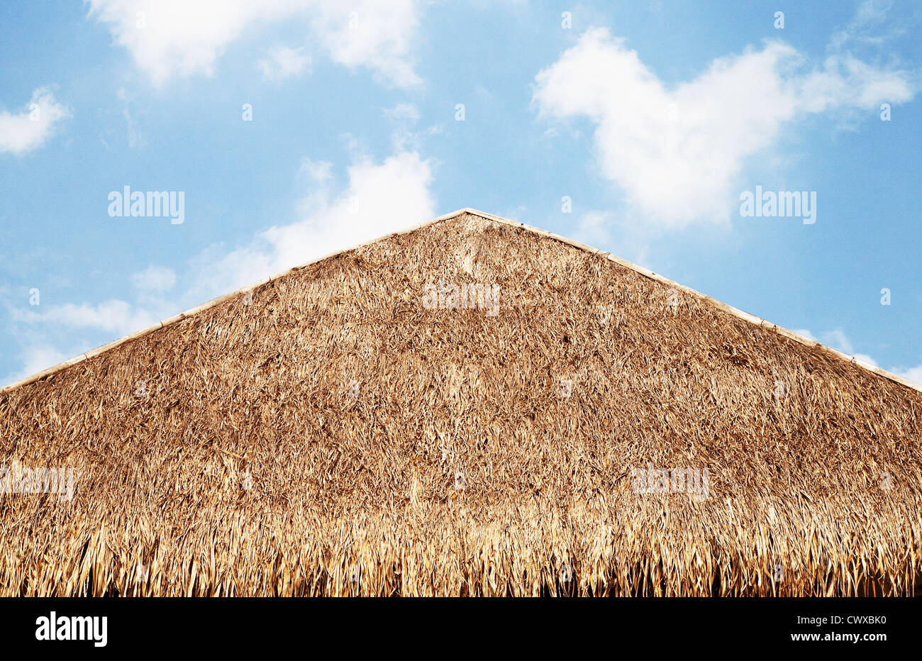 Texture de chaume Banque de photographies et d’images à haute ...