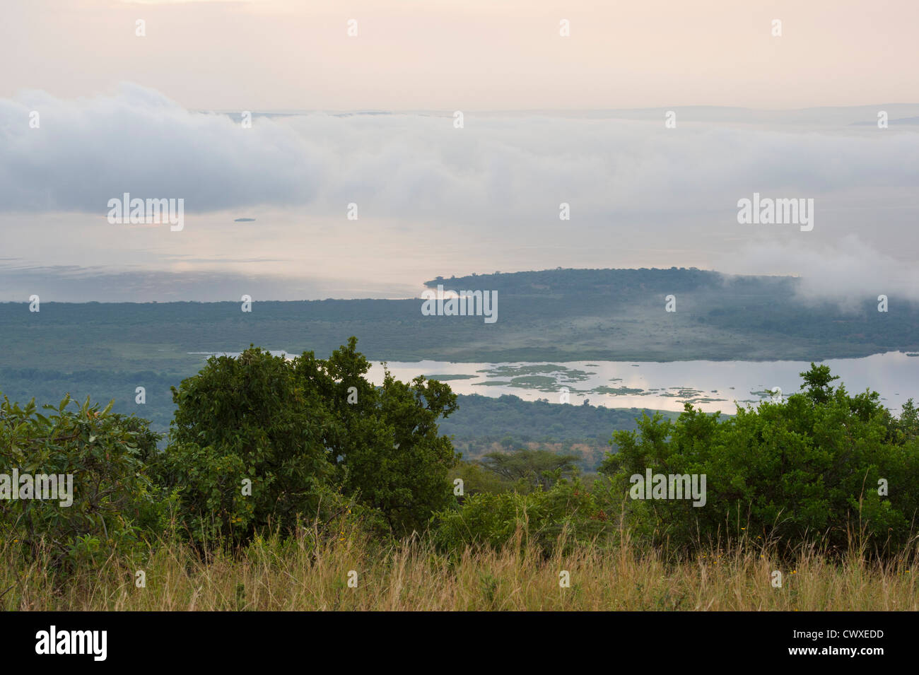 Akagera national park and rwanda Banque de photographies et d’images à ...