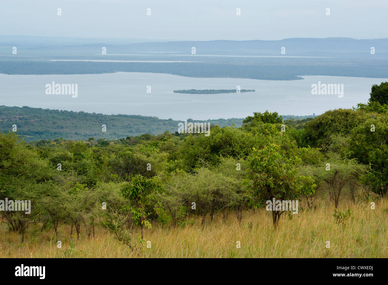 Akagera national park and rwanda Banque de photographies et d’images à ...
