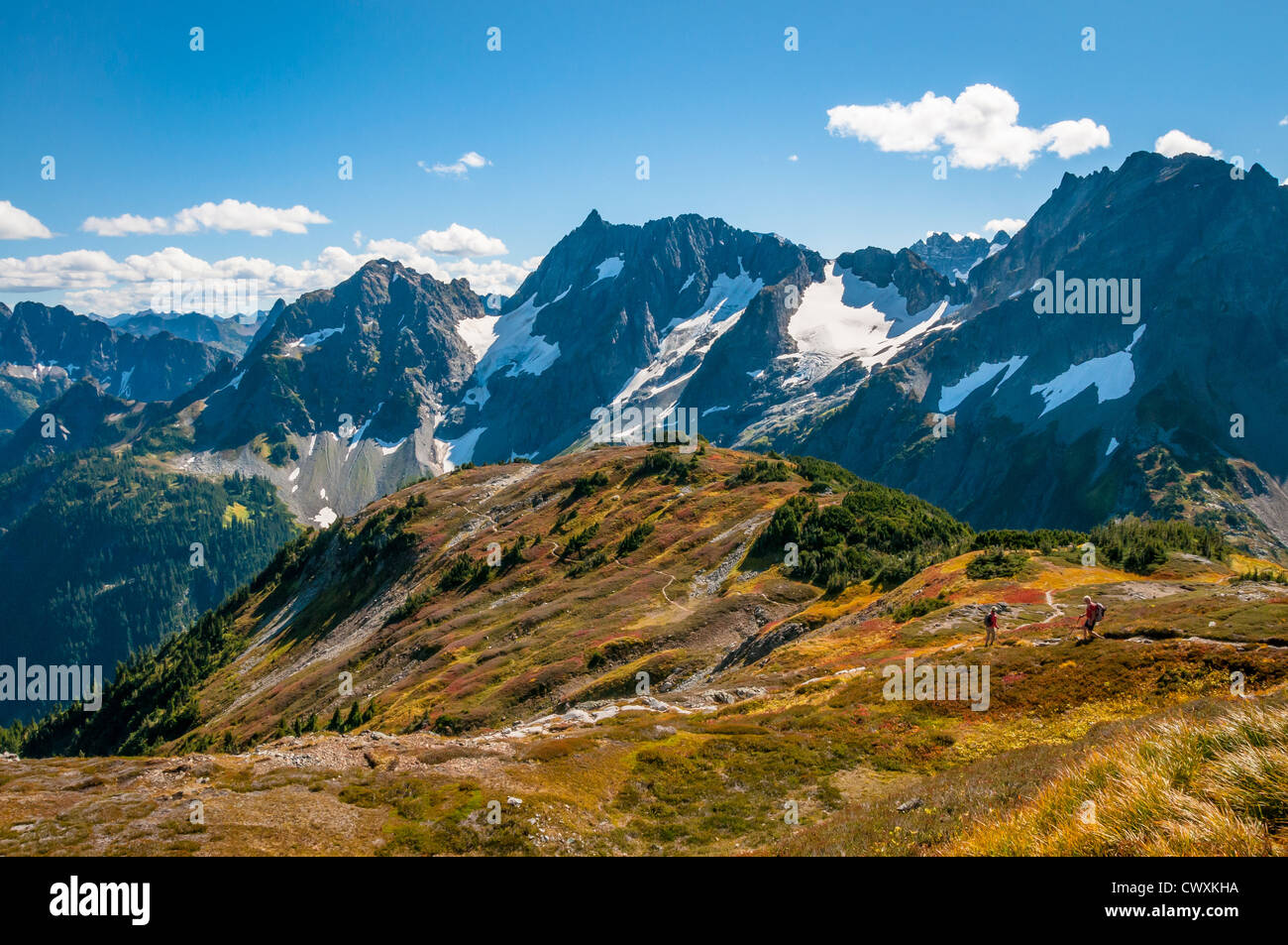 Parc national des north cascades Banque de photographies et d’images à ...
