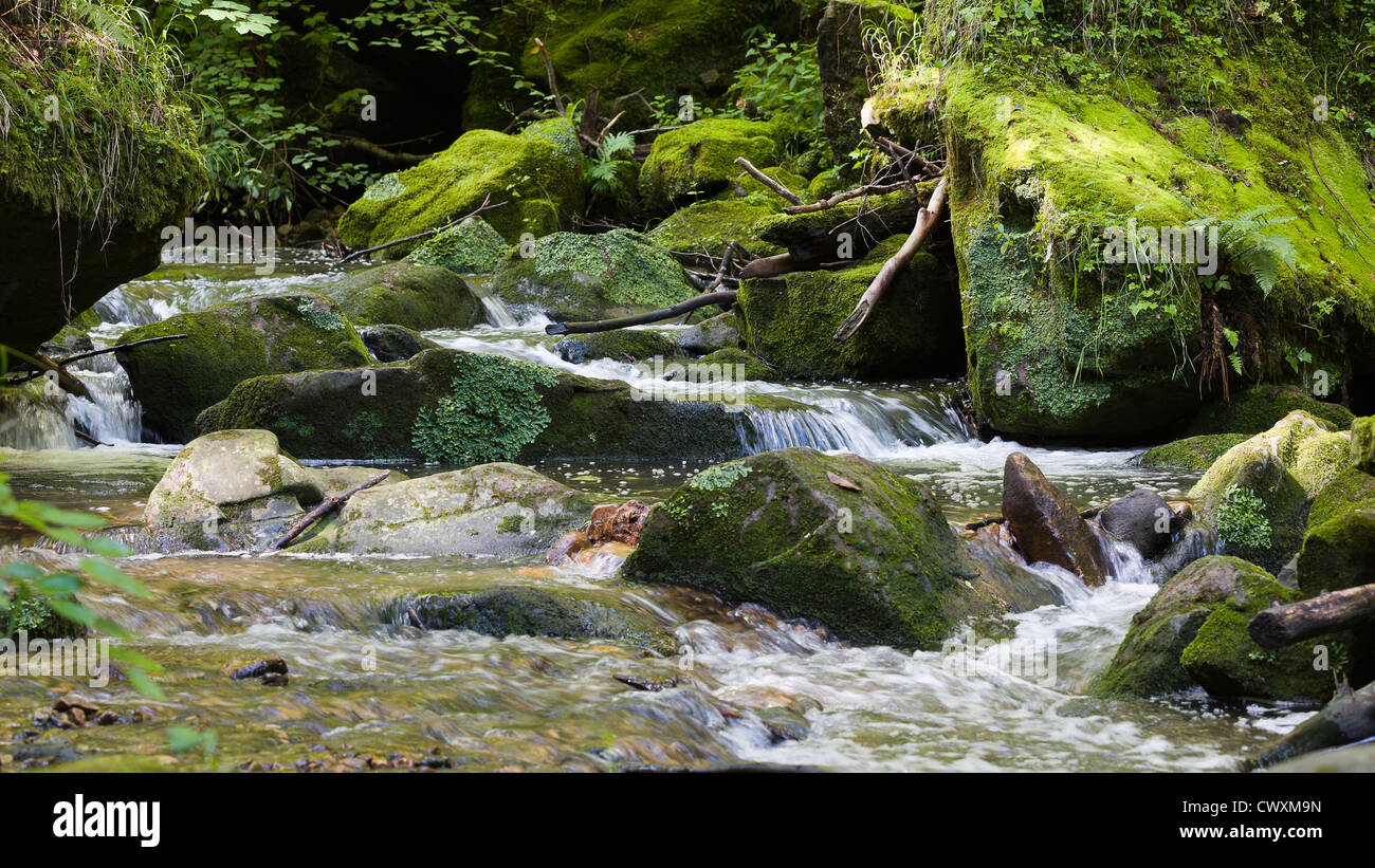 Luxembourg mullerthal schiessentumpel Banque de photographies et d ...